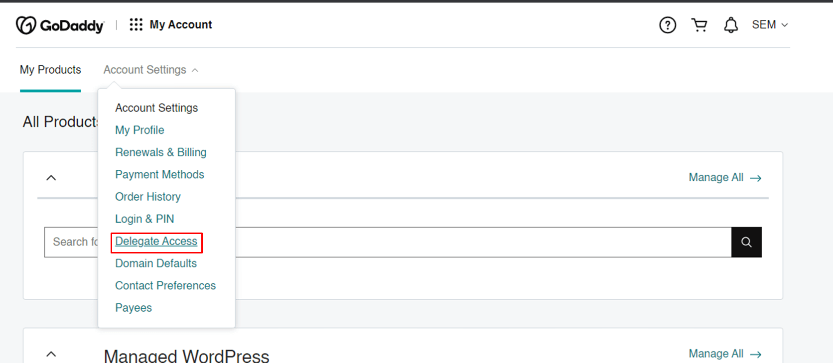 Manage Godaddy WP Hosting | WP Website Design Service
